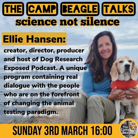 Camp Talks: Ellie Hansen Sunday 3rd March - The Camp Beagle