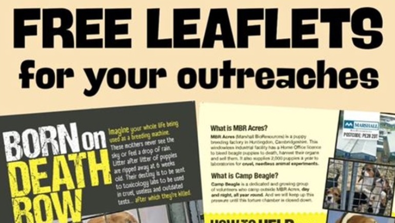 Camp Beagle Outreach Leaflets Free P&P - The Camp Beagle