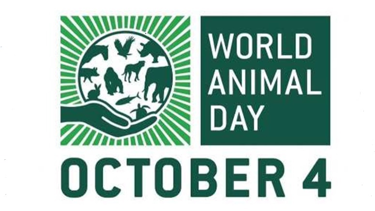 World Animal Day - 4th October 2024 - The Camp Beagle
