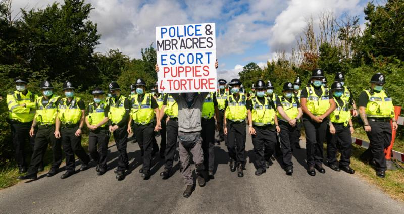 The Cost of Providing A Private Security Service to MBR Acres - The ...