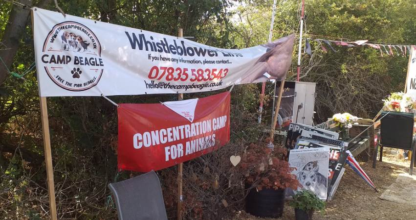 You Can Always Contact The Camp Beagle Whistleblower Phoneline - Camp ...