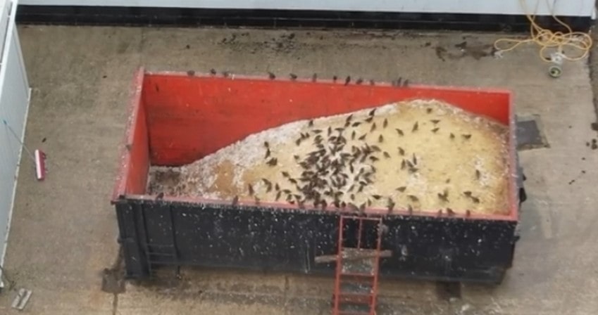 The Reality of MBR Acres – Hard Facts Don’t Lie - Camp Beagle