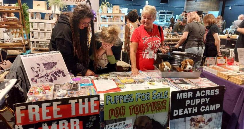 Outreach & Events - The Camp Beagle