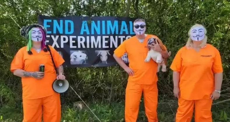 So what does Camp Beagle Mean to Protesters? - The Camp Beagle