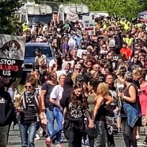 About Us - Camp Beagle