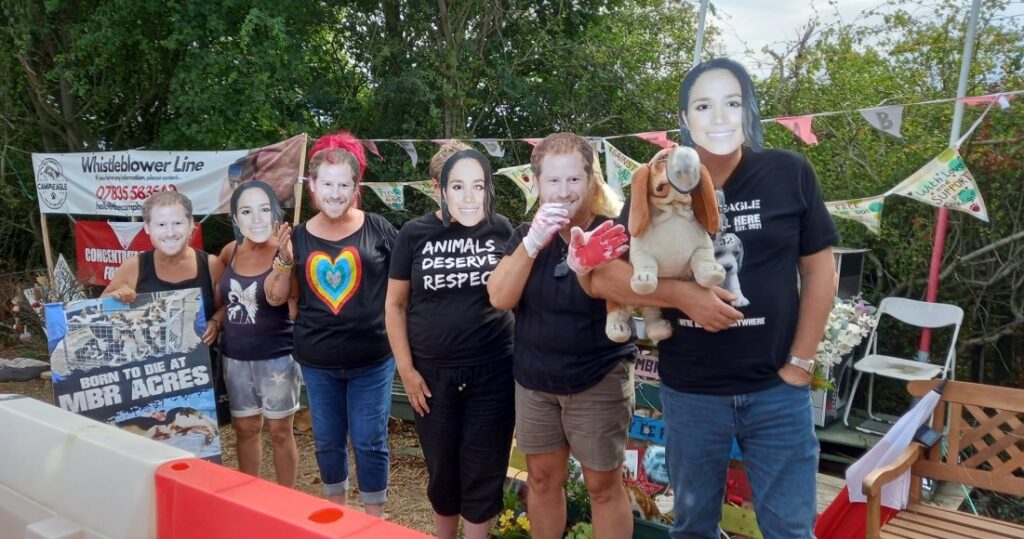 The Reality of MBR Acres – Hard Facts Don’t Lie