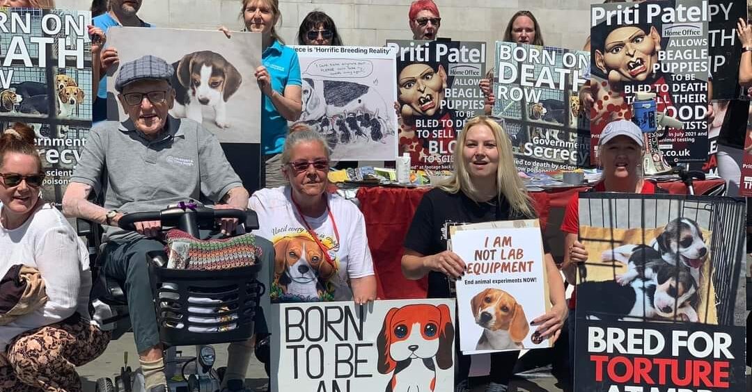 Outreach Material - The Camp Beagle