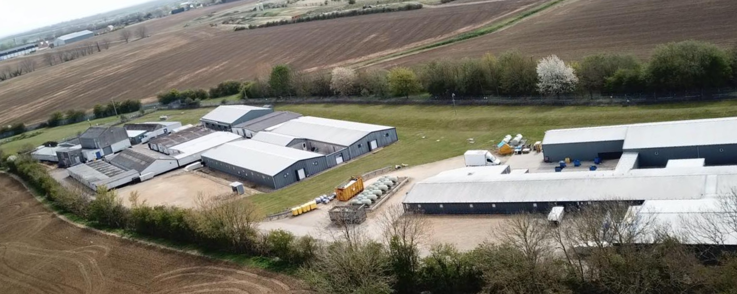 MBR Acres - The Camp Beagle