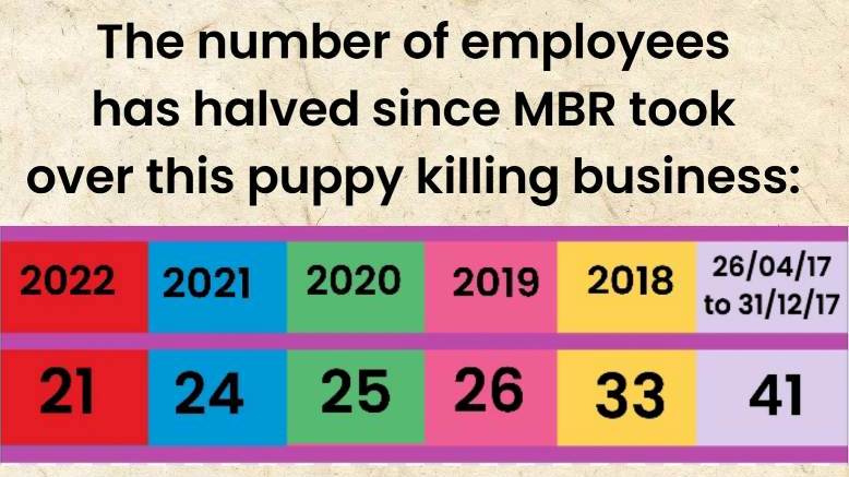 Why Do People Work at MBR Acres? - The Camp Beagle