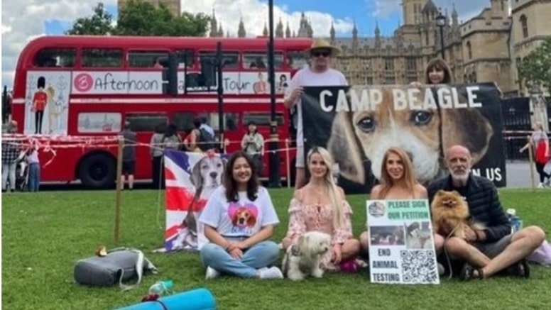 Camp Beagle Takes Protest to London to Raise Awareness - The Camp Beagle