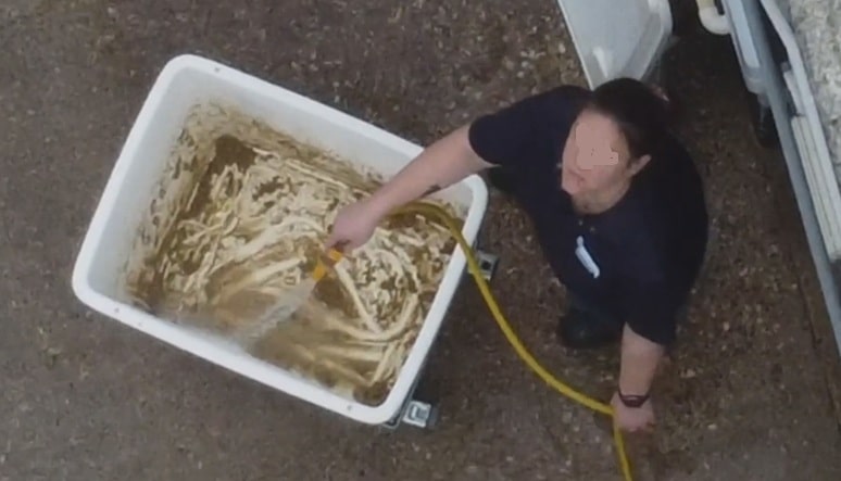 MBR Acres - Huntingdon's 'Dirty Secret' - The Camp Beagle