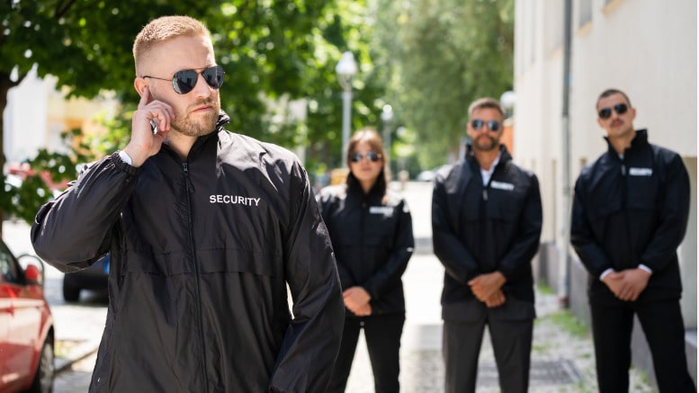 MBR Acres Security - What's the Point? - The Camp Beagle