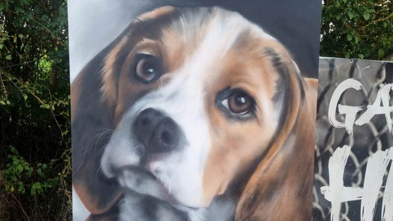 How many Staff Work at MBR Acres on a Saturday? - The Camp Beagle