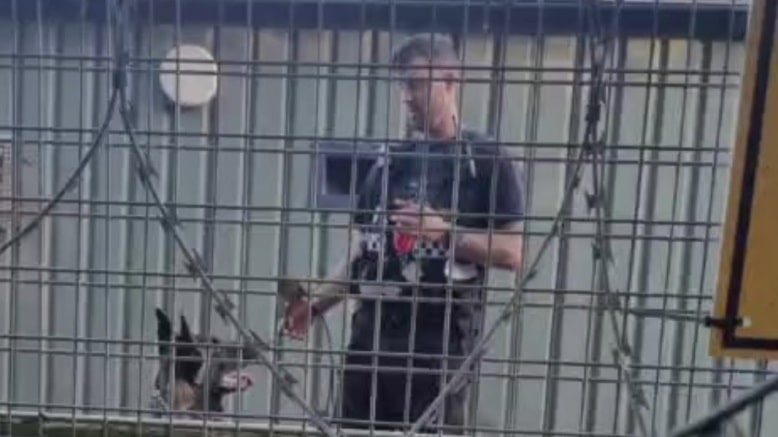 MBR Acres Dog Handler Speaks Out - Then is Asked To Leave! - The Camp ...