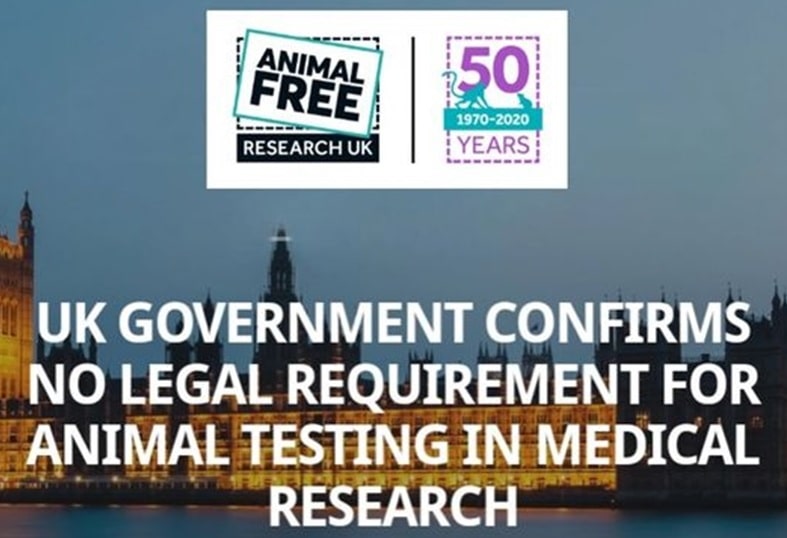 No UK Law Mandate to use Animals Before Clinical Trials - The Camp Beagle