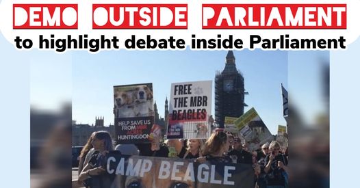 Camp Beagle Demo Parliament – 19th February 2024 - The Camp Beagle