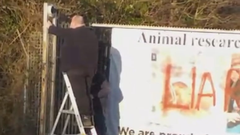 MBR Acres Crack Maintenance Team - The Camp Beagle