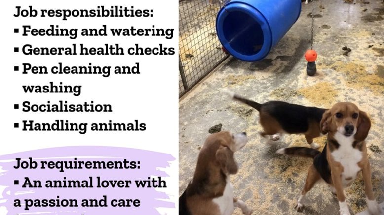 Fancy a Job at MBR Acres? Thought Not...... - The Camp Beagle