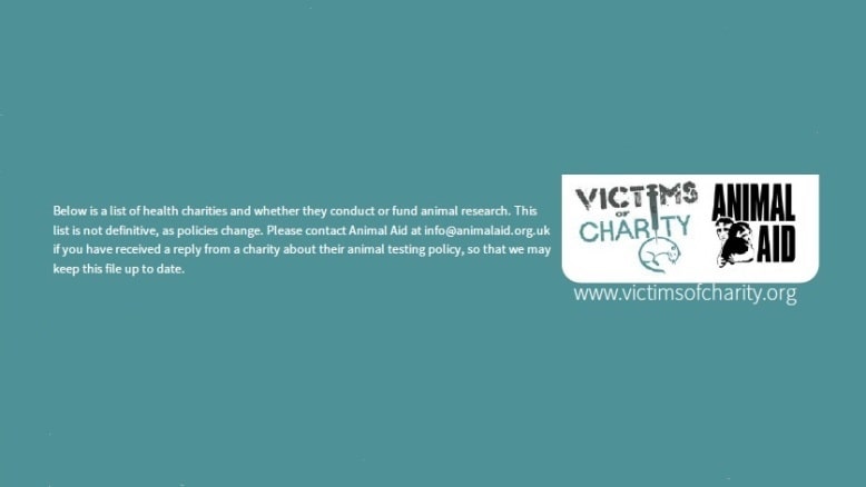 Ever wondered what Charities are involved in Animal Testing? - The Camp ...