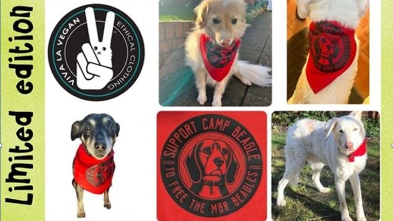 Camp Beagle Dog Bandana Now Available - The Camp Beagle