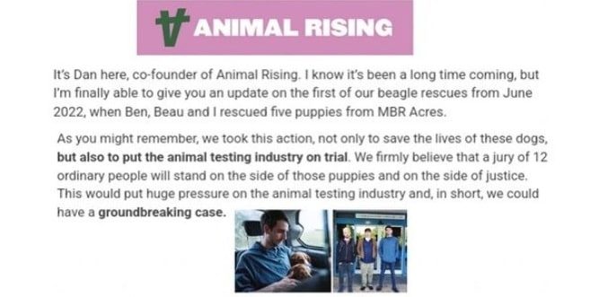 Animal Rising: Update to the Liberation of Beagles from MBR - The Camp ...