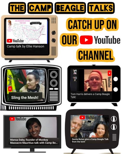 Camp Beagle - Watch Us On YouTube - The Camp Beagle