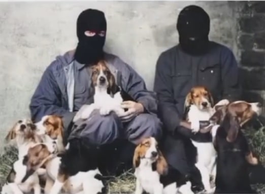 16th/17th March 1990 - 82 Beagles & 26 Rabbits Liberated - The Camp Beagle