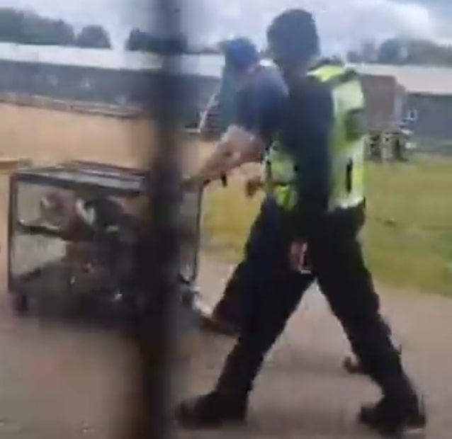 MBR Acres: Trolley full of Beagles go outside for the first time - The ...