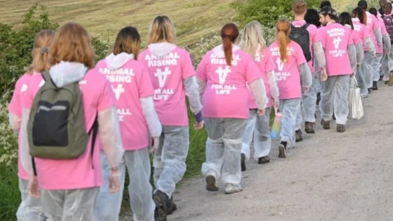 Animal Rising Shows Solidarity with Camp Beagle - The Camp Beagle