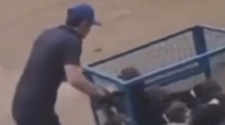 MBR Acres: 'May God Have Mercy' - The Camp Beagle