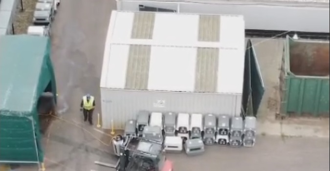 MBR Acres - 50 Years of Beagle Abuse - The Camp Beagle