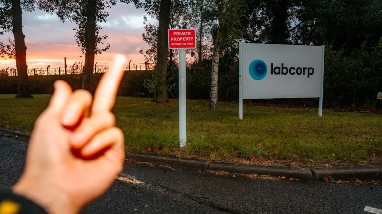 Impex Vans Collect PuppiesFriday 13th September 2024 - The Camp Beagle