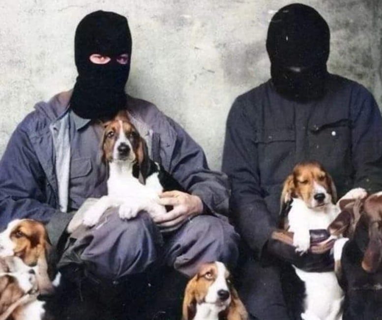 79 Beagles Liberated - 5th November 1999 - Part 3: The Libertation ...