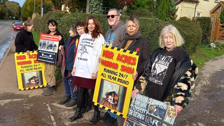 Sequani Ledbury - The Camp Beagle