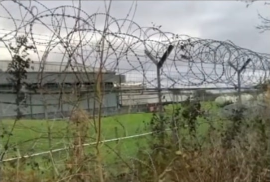 MBR Acres Noise Levels of the Beagles - The Camp Beagle