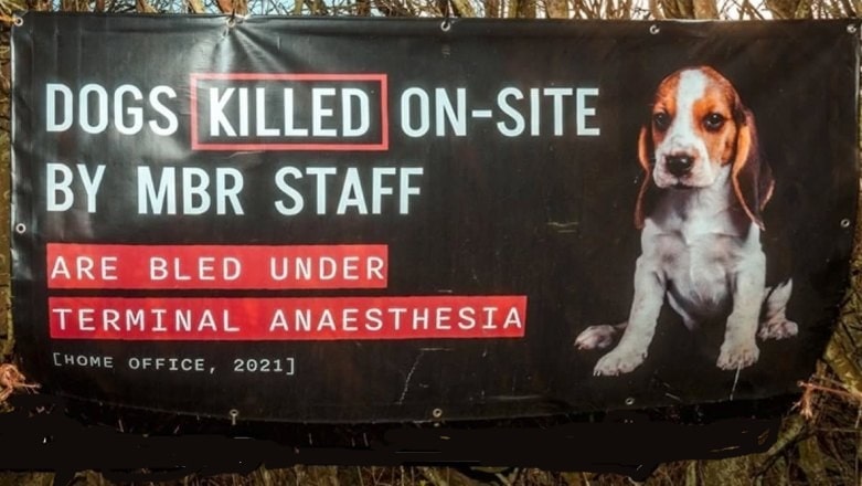 MBR Acres/Home Office Bleeding Licence FOI - The Camp Beagle