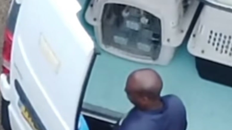 MBR Acres - A Dirty Business - The Camp Beagle