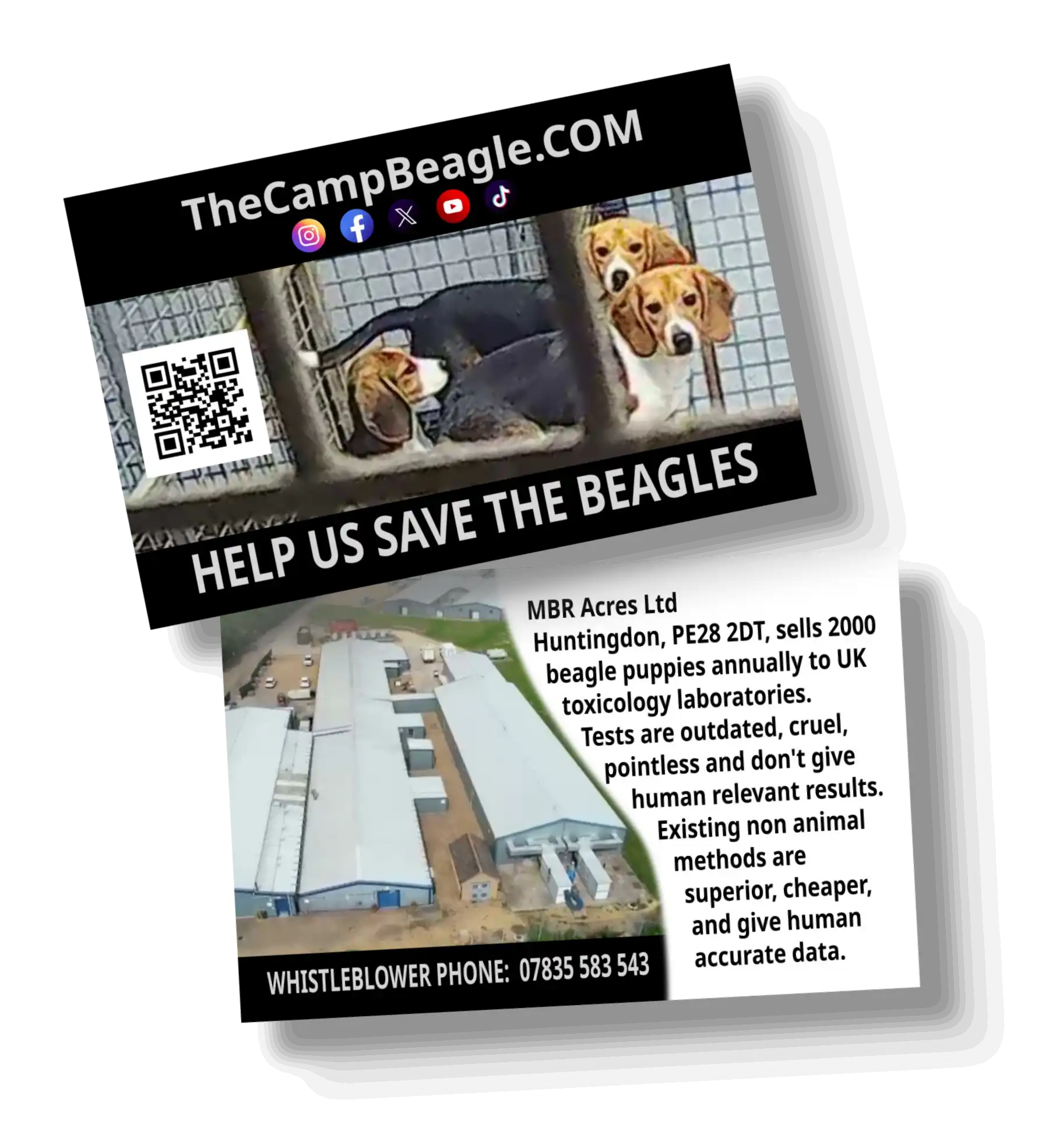 Outreach Cards - 100 pack - The Camp Beagle