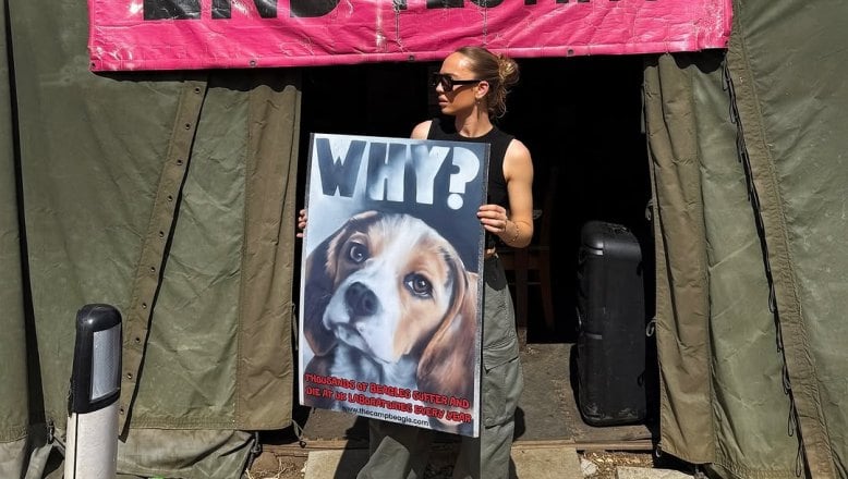 'Today my Nightmares Become Reality' - Remy Visits MBR Acres - The Camp ...